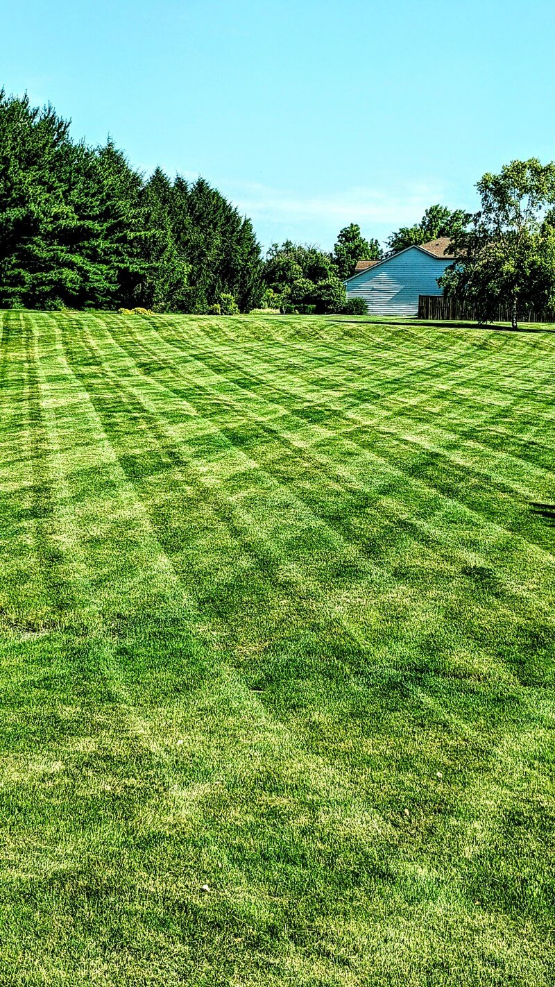 Full Lawn Maintenance, Yard Clean up & Landscaping in Decatur, IL